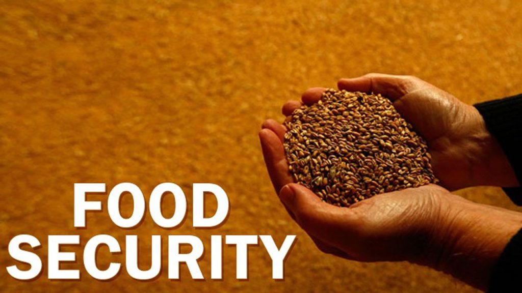 Introduction to Food Security and Insecurity – SLD